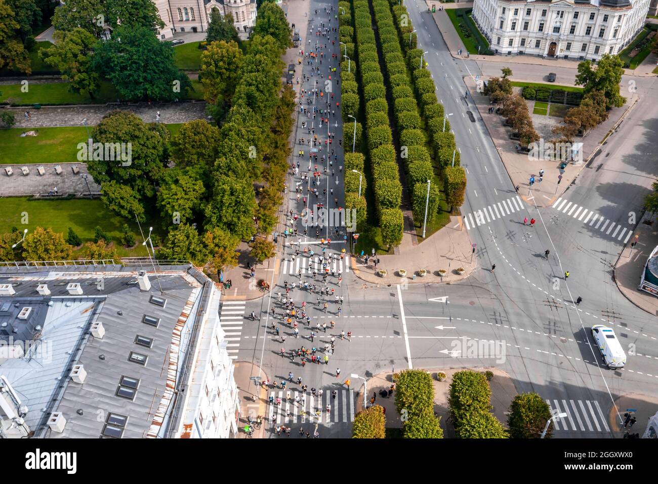 Aerial view of the people running marathon Stock Photo - Alamy