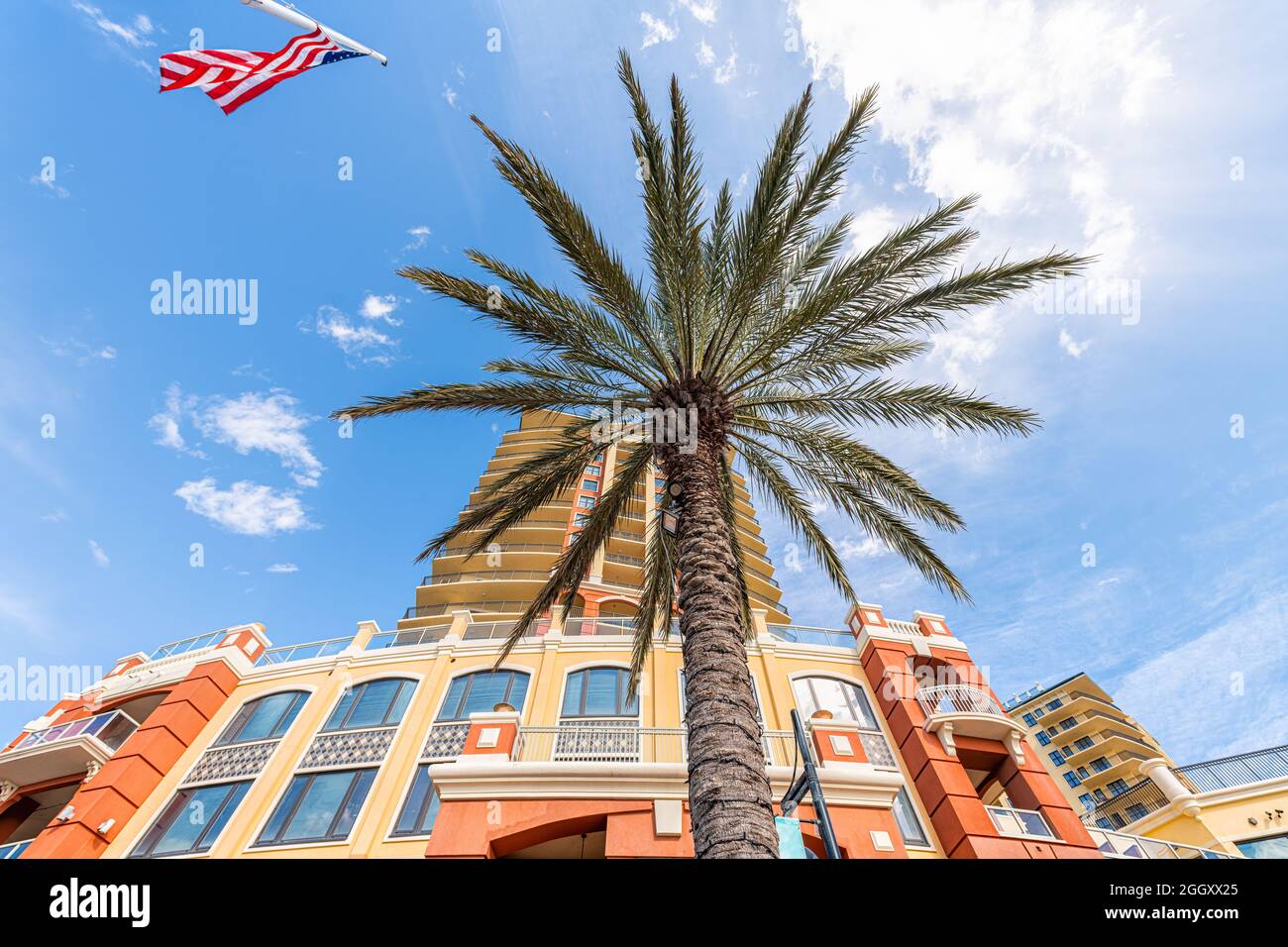 Shopping Mall Outside Palm Tree High Resolution Stock Photography and ...