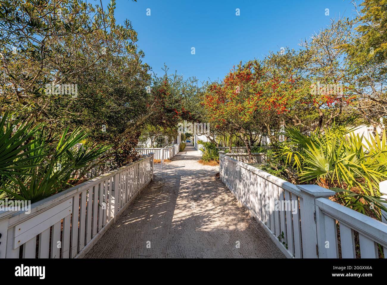 White sand path beach wooden architecture way path with green plants ...
