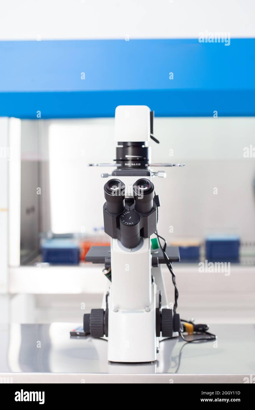 Stereo microscope eyepieces in the laboratory Stock Photo - Alamy