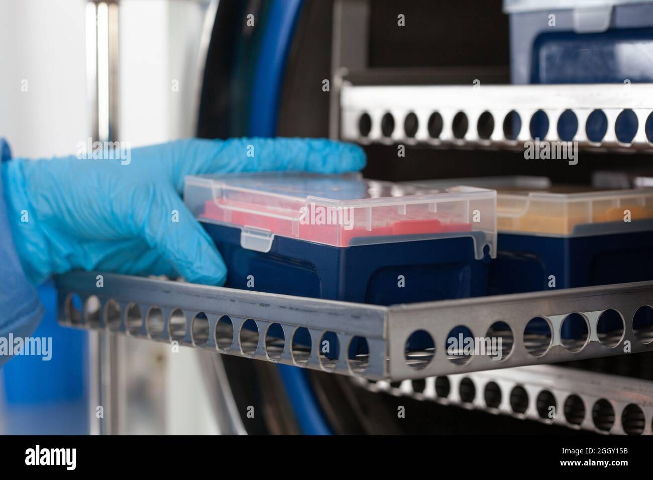 Young female scientist sterilizing laboratory material in autoclave ...