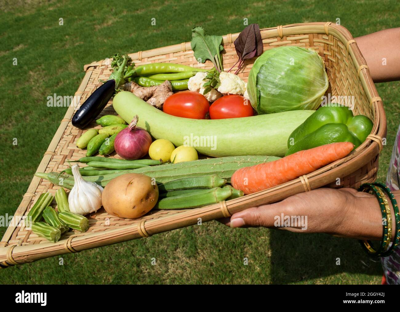 Female holding serving and Celebrating National Nutrition week observed ...