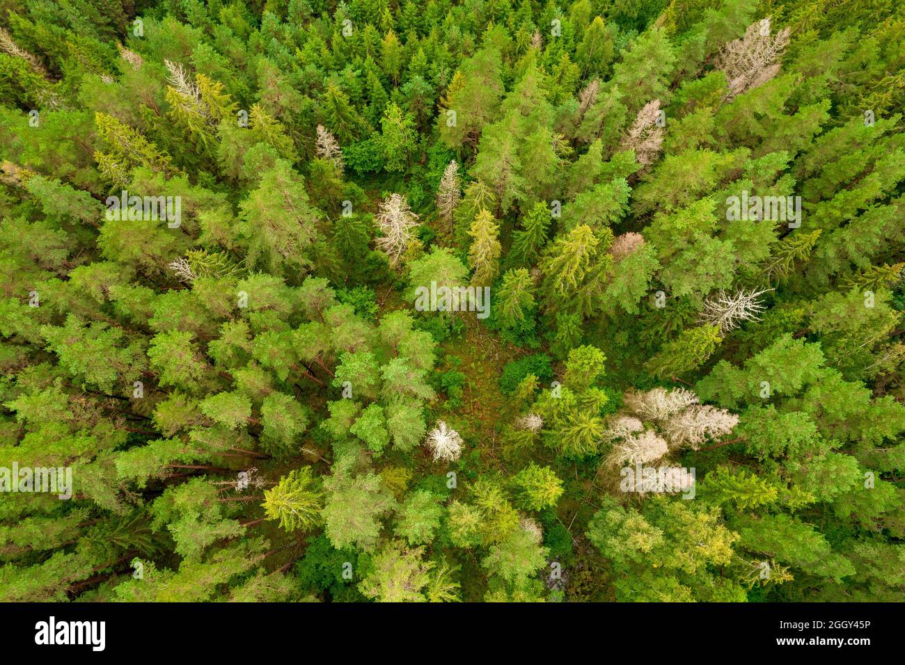 Jungle shot drone hi-res stock photography and images - Alamy