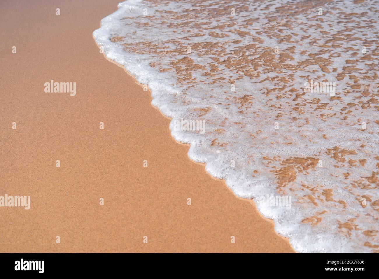 Beach Texture Background