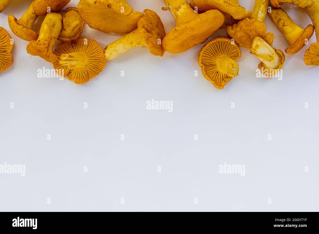 Studio shot of fresh yellow delicious wavy autumn vegetarian ...