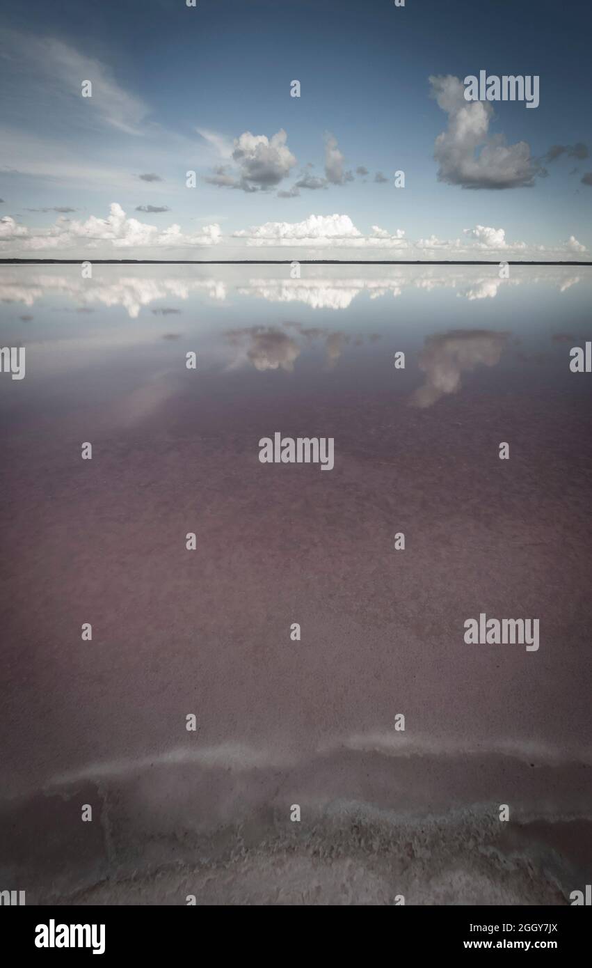 Salt Lagoon in Pampas landscape, La Pampa Province, Patagonia ...