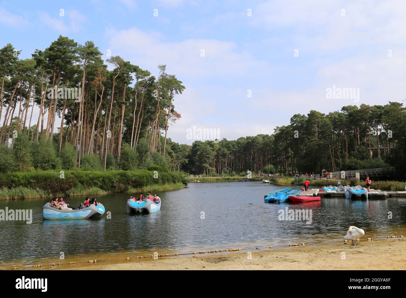 Watersports Lake, Waterfront, Center Parcs Woburn Forest, Fordfield ...