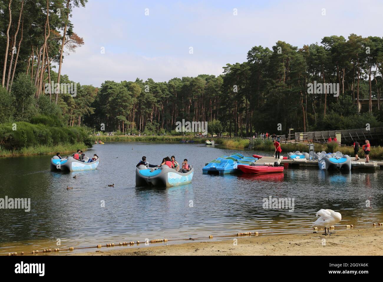 Watersports Lake, Waterfront, Center Parcs Woburn Forest, Fordfield ...