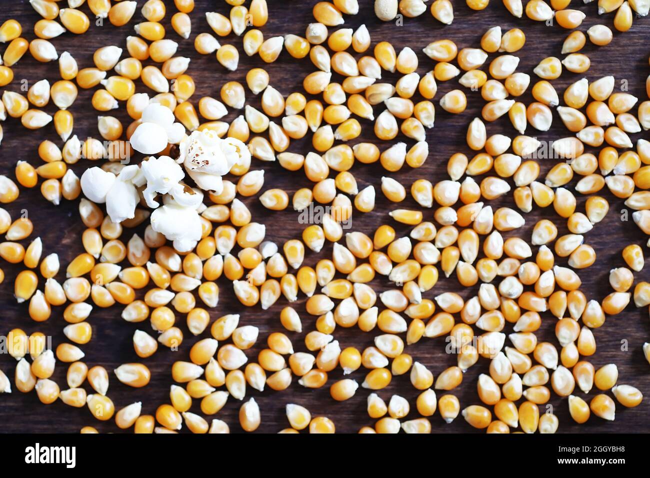 Group of yellow raw corn kernels sweet corn. Grain seeds ingredient ...