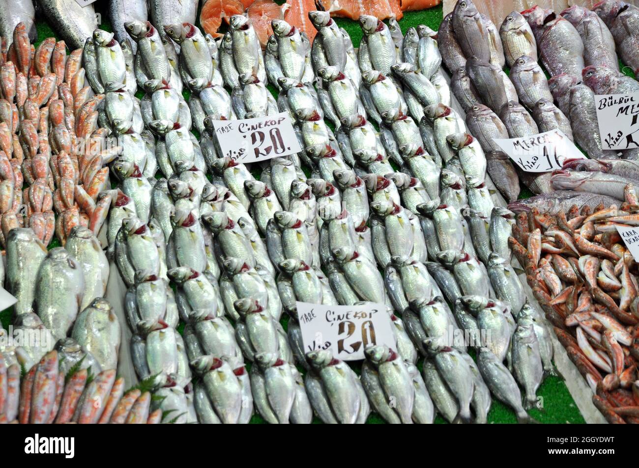 Clean fish are sold fresh at the fish market, fresh various fish for ...