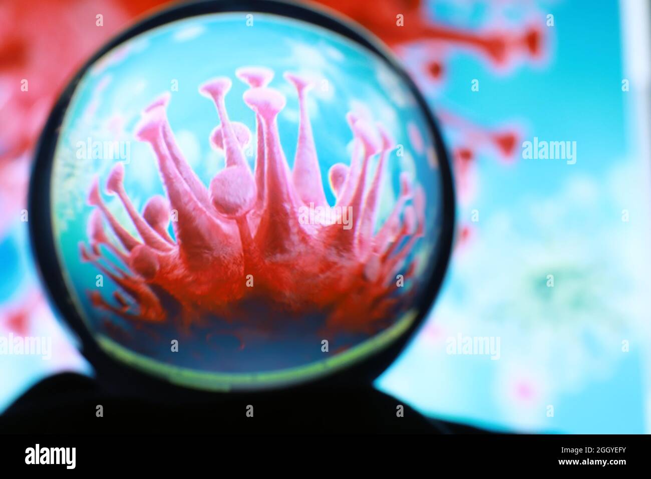 Collage of flu COVID-19 virus cells in blood under the microscope ...