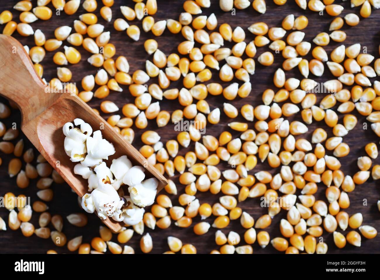 Group of yellow raw corn kernels sweet corn. Grain seeds ingredient ...