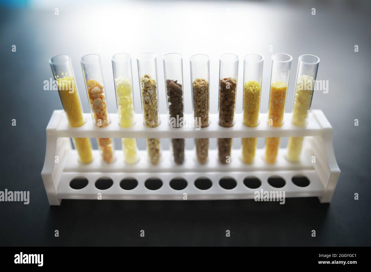 Test tubes with seeds of selection plants. Research Analyzing ...