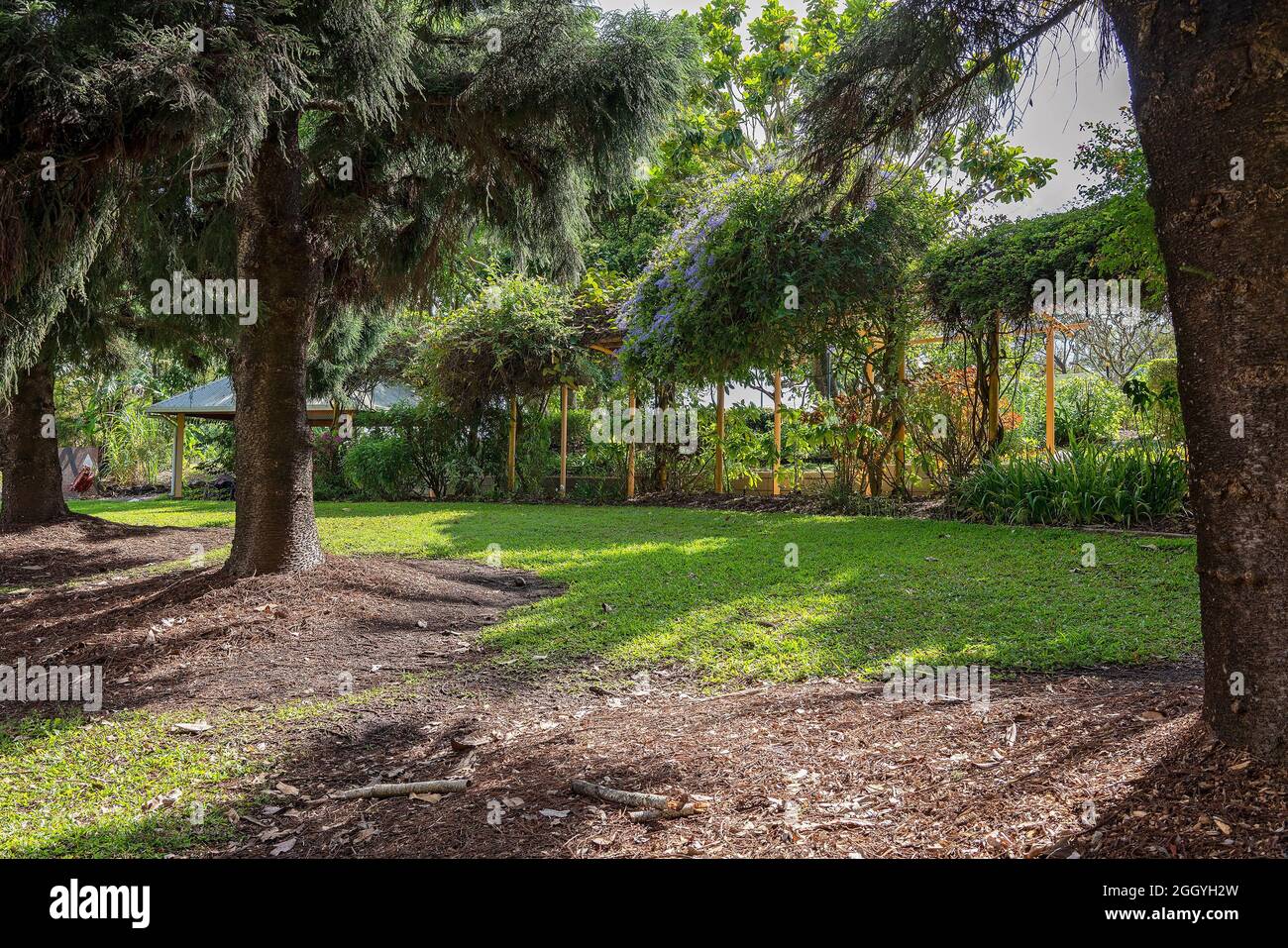 An arbor in botanic gardens with lush trees and grass and a shade ...