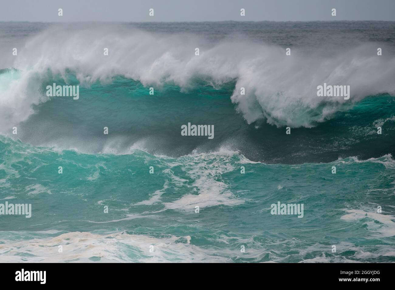 An angry turquoise green color massive rip curl of a wave as it barrels ...