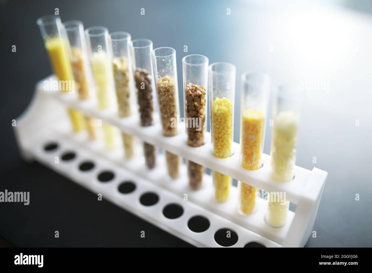 Test tubes with seeds of selection plants. Research Analyzing ...