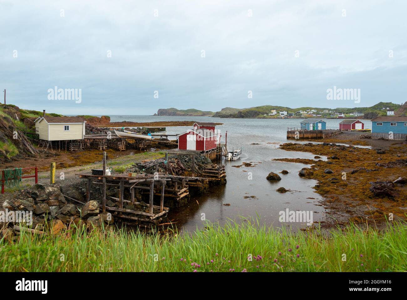 A view of Twillingate, Newfoundland, a small fishing village with a ...