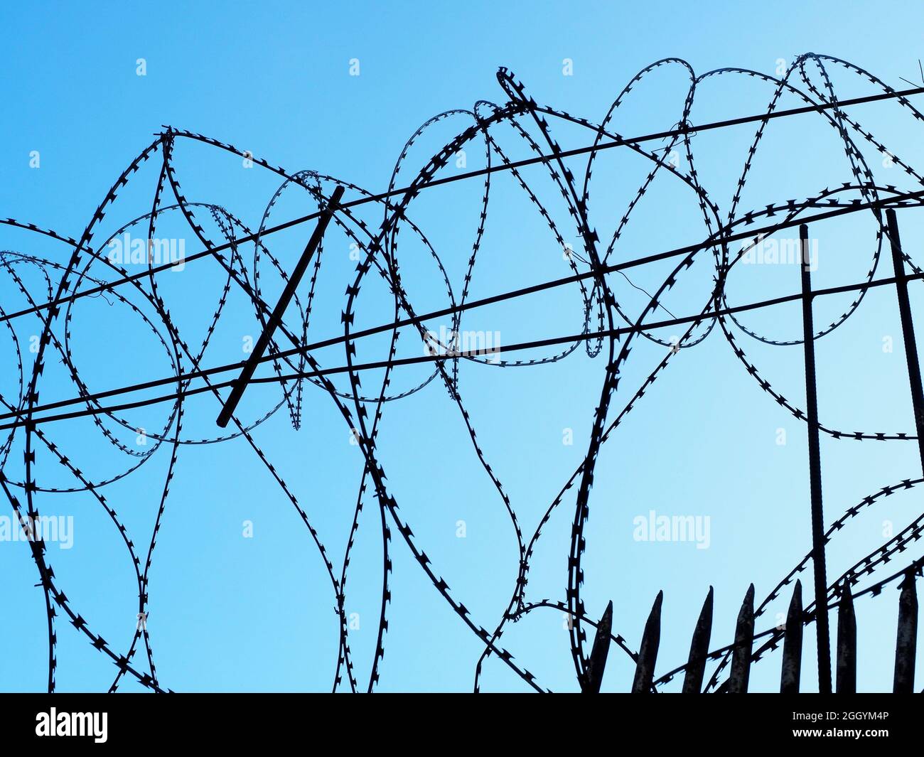 Spiral barbed wire on iron rods against blue sky background. Barbed ...