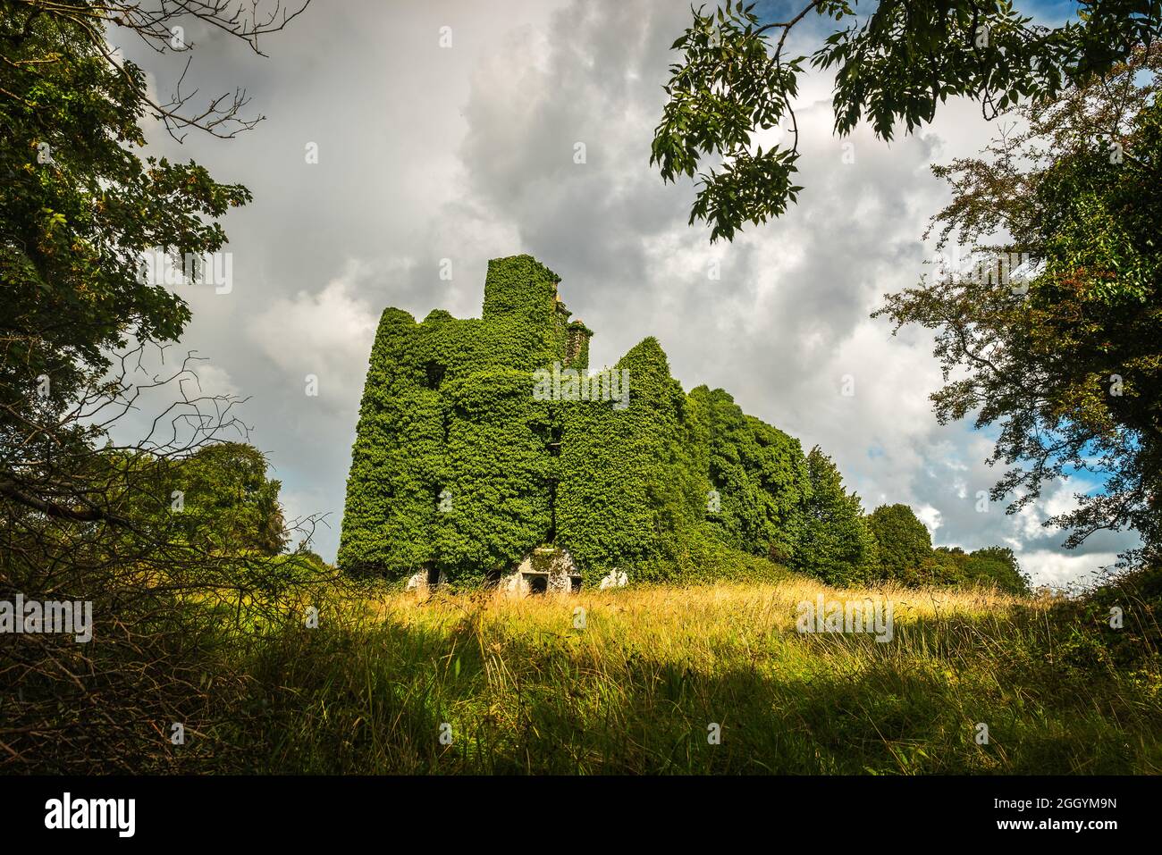 Menlo castle galway hi-res stock photography and images - Alamy