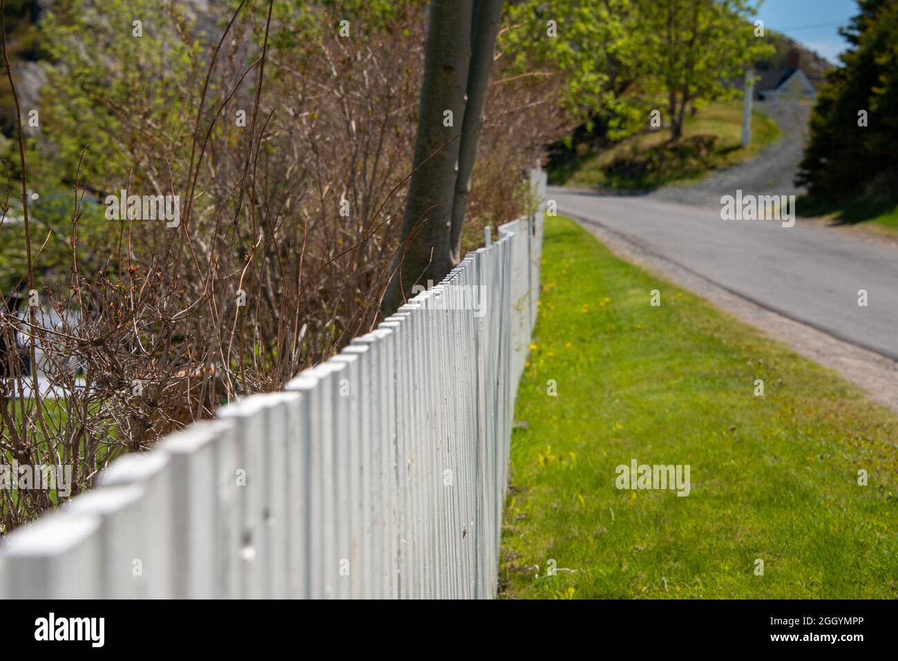 A curved white picket fence divides a garden from the road. A tall ...