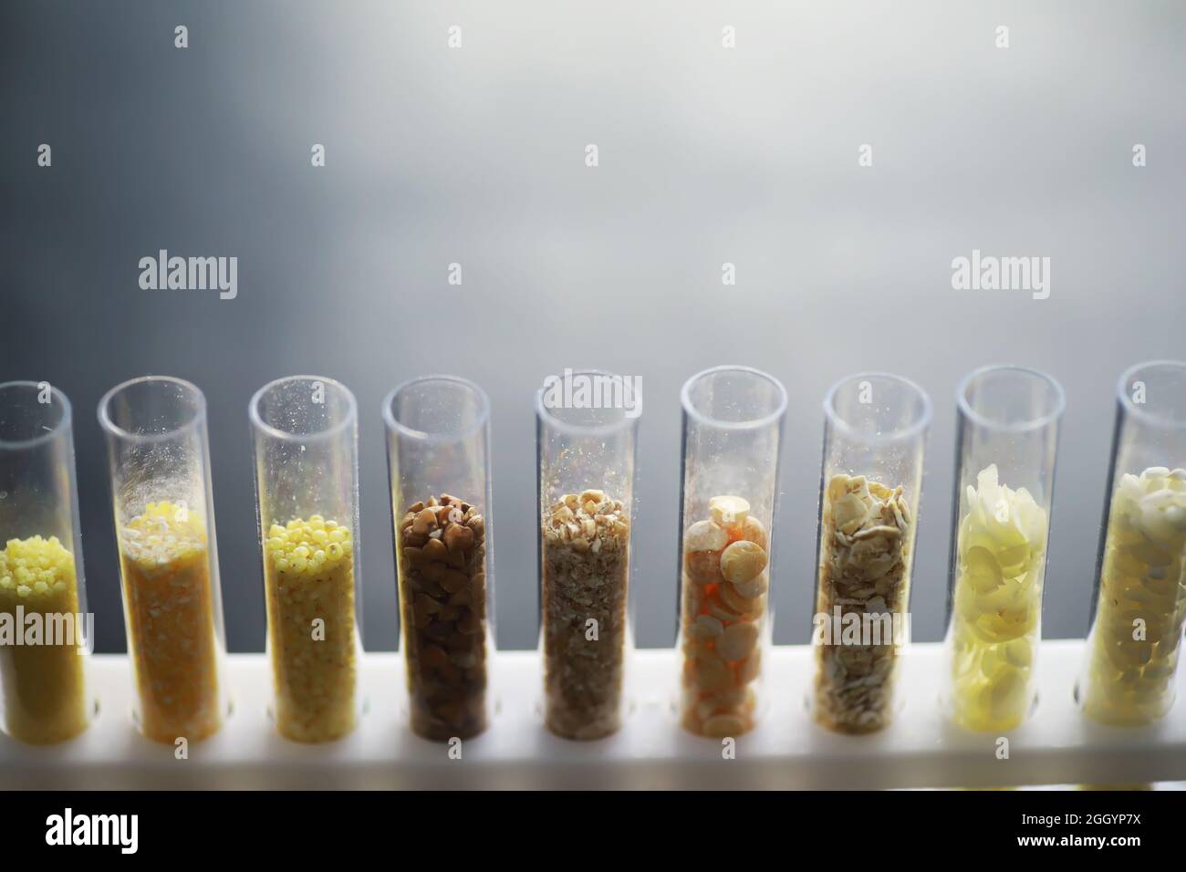 Test tubes with seeds of selection plants. Research Analyzing ...