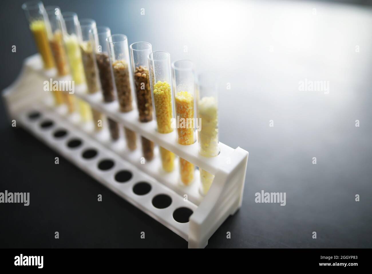 Test tubes with seeds of selection plants. Research Analyzing ...