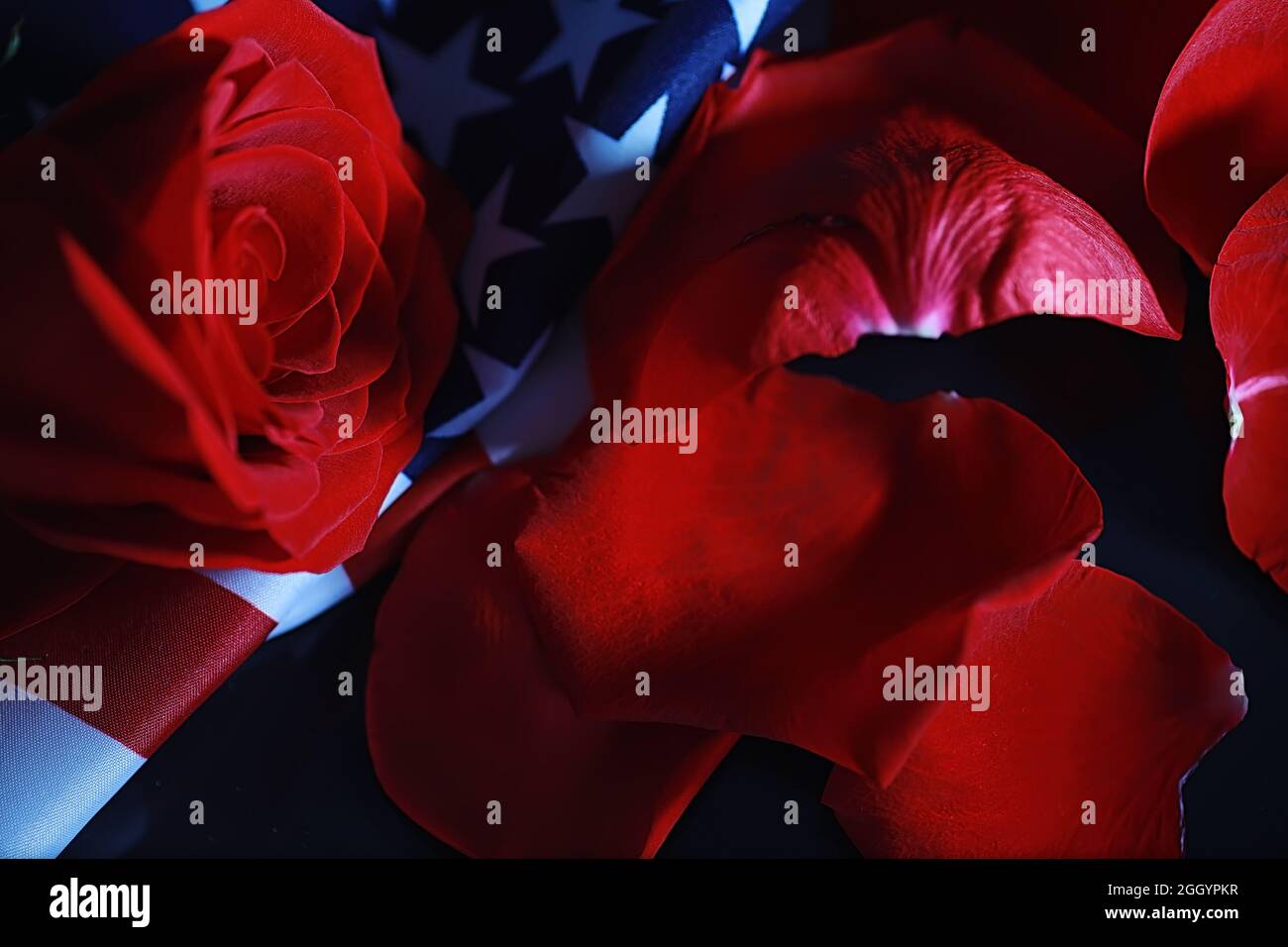 American flag and rose flower on table. Symbol of the United States of ...