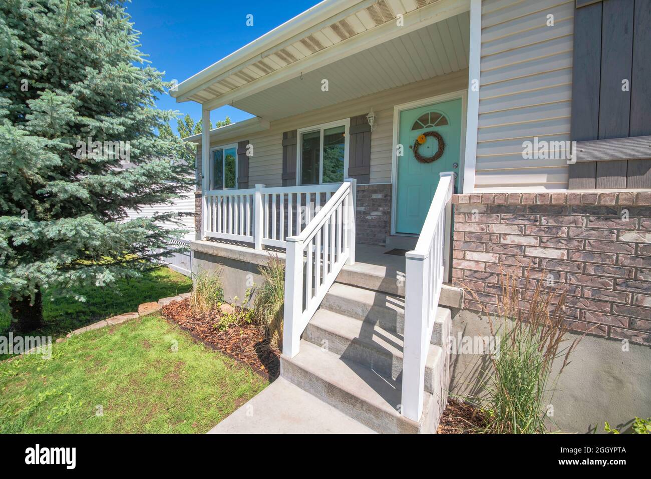 Traditional house entrance with a large pine tree at the front yard ...