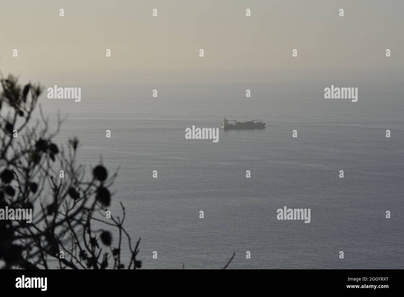 Canastel hi-res stock photography and images - Alamy