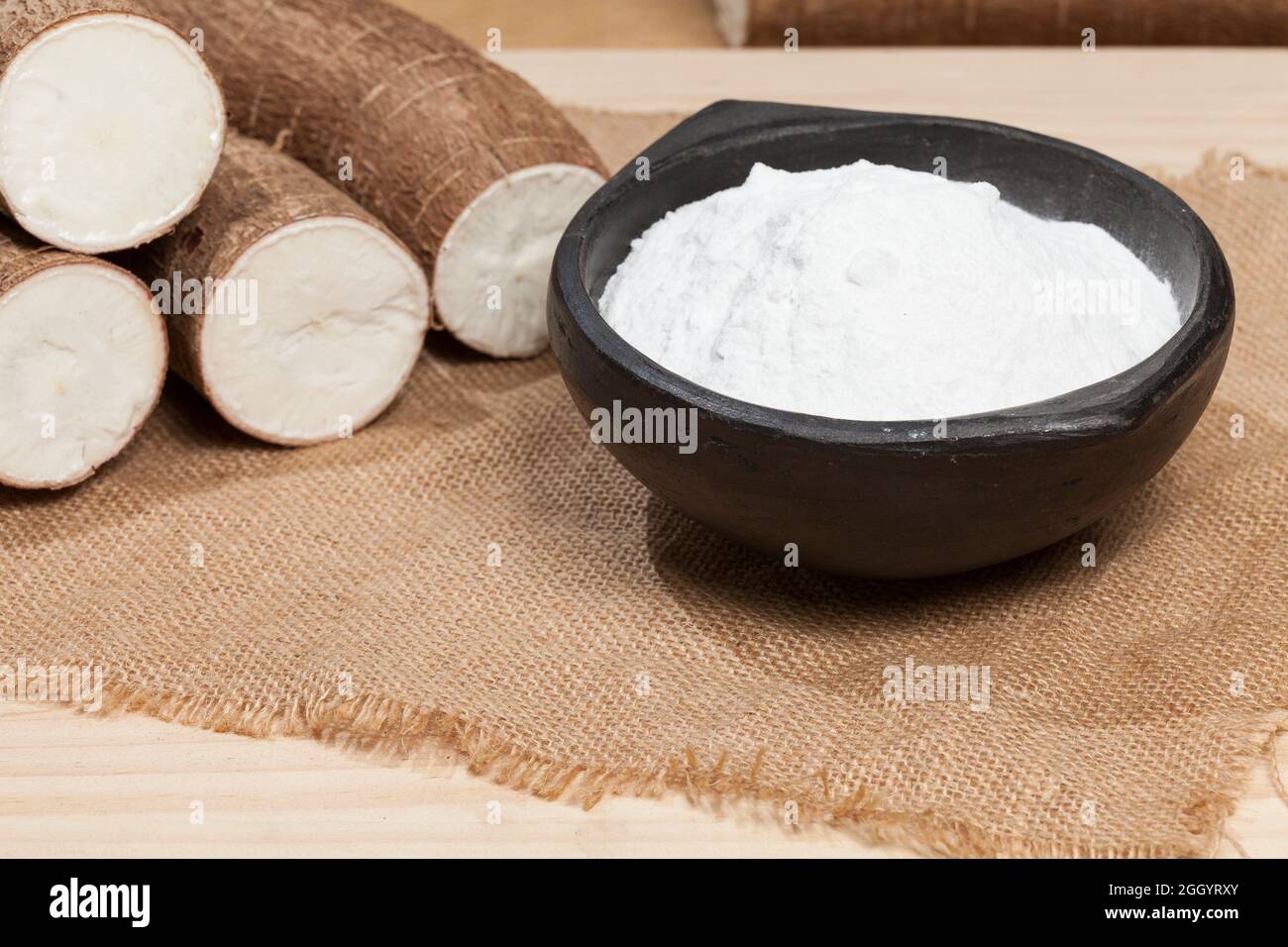 Organic raw Cassava Root Starch - Manihot esculenta Stock Photo - Alamy