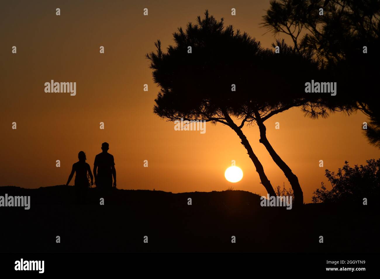 Sunset view in Canastel forest, Oran - Algeria Stock Photo - Alamy