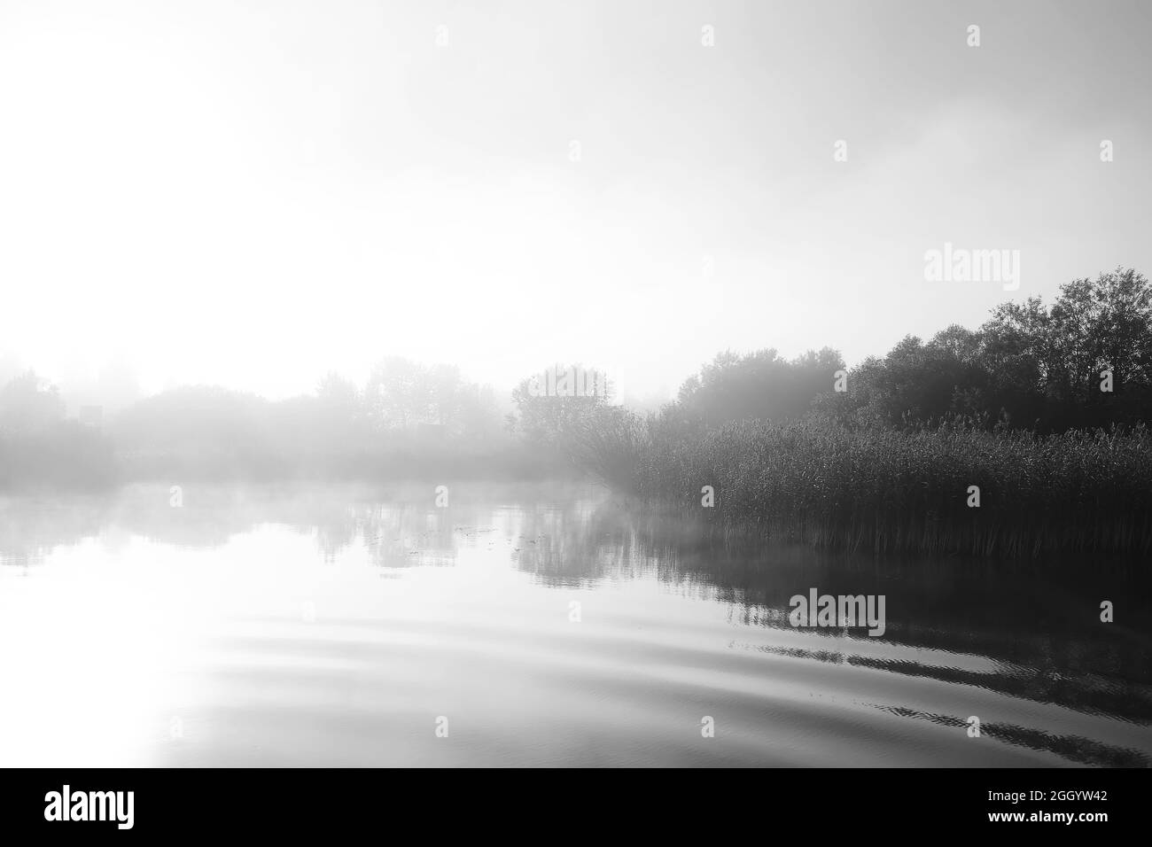 Blue morning sky with isolated white clouds Black and White Stock ...