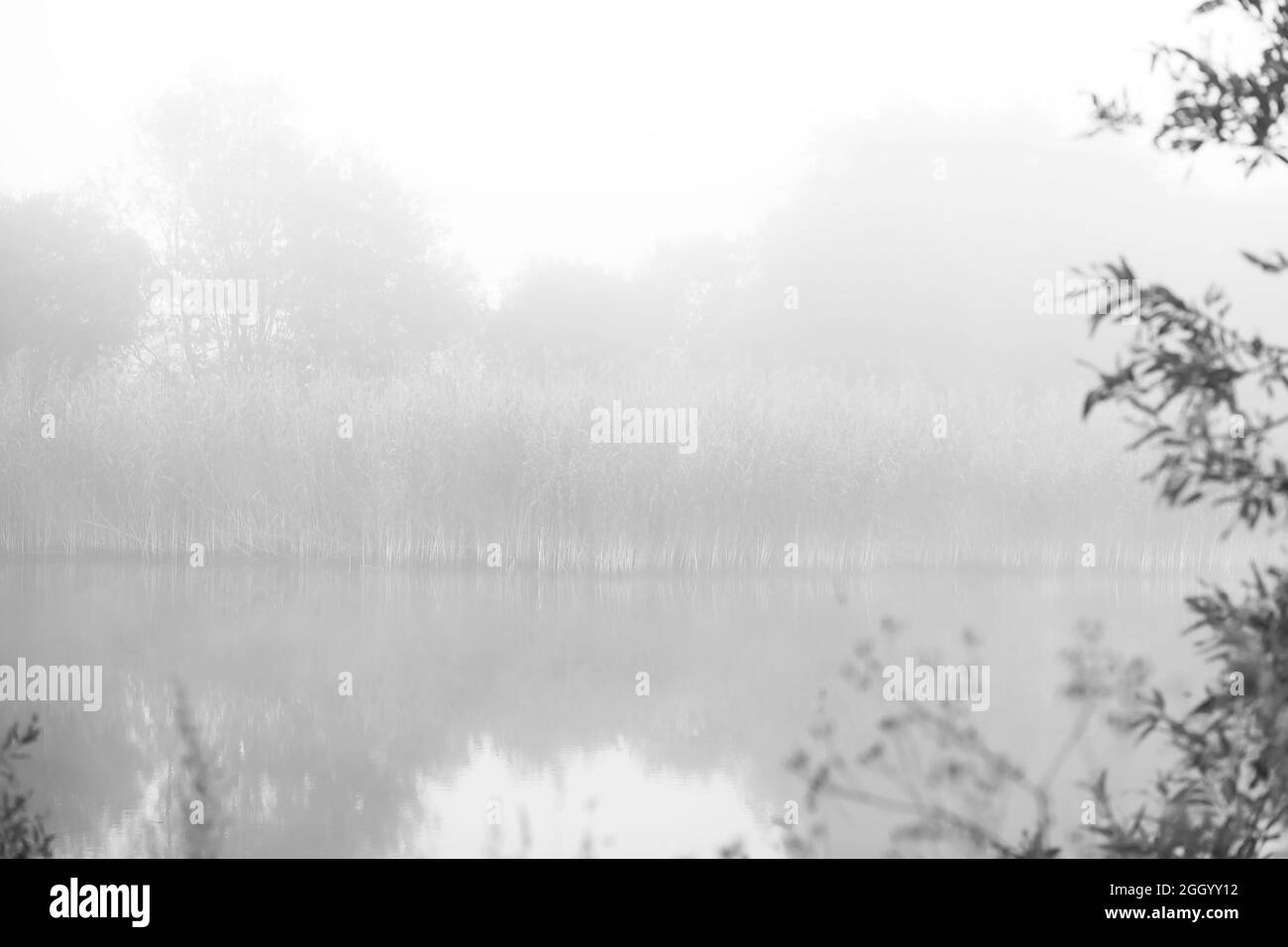 Blue morning sky with isolated white clouds Black and White Stock ...