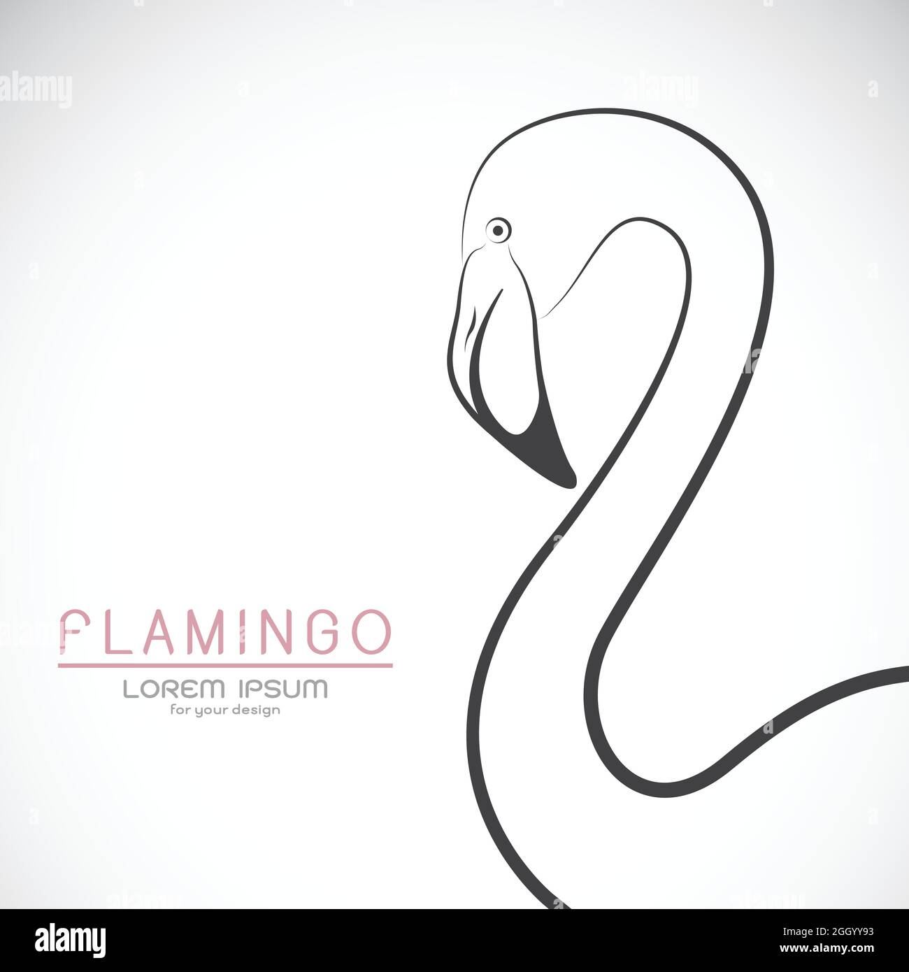 Vector of a flamingo design on white background, Wild Animals. Easy ...