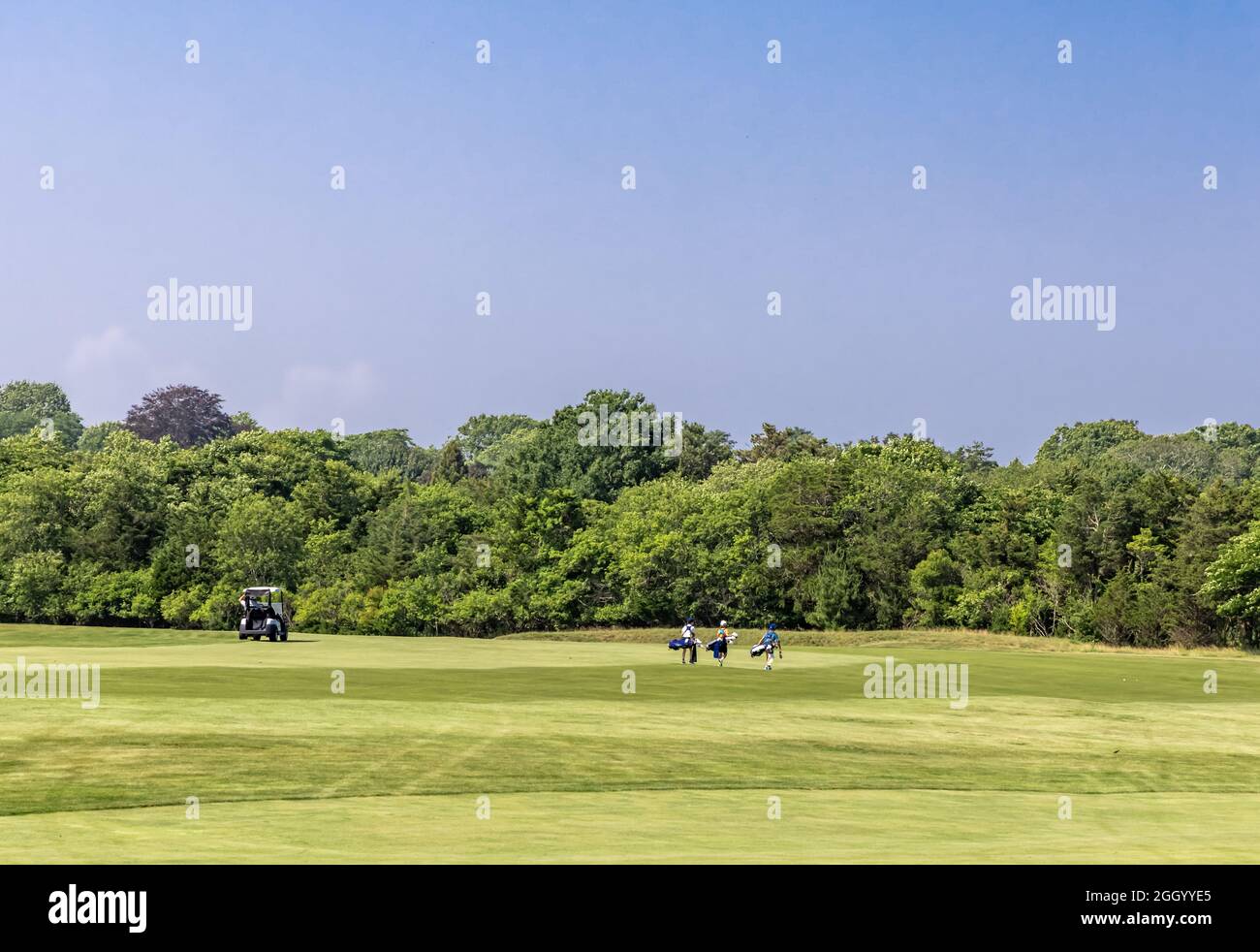 Young boys playing golf at Maidstone Country Club, East Hampton, NY ...