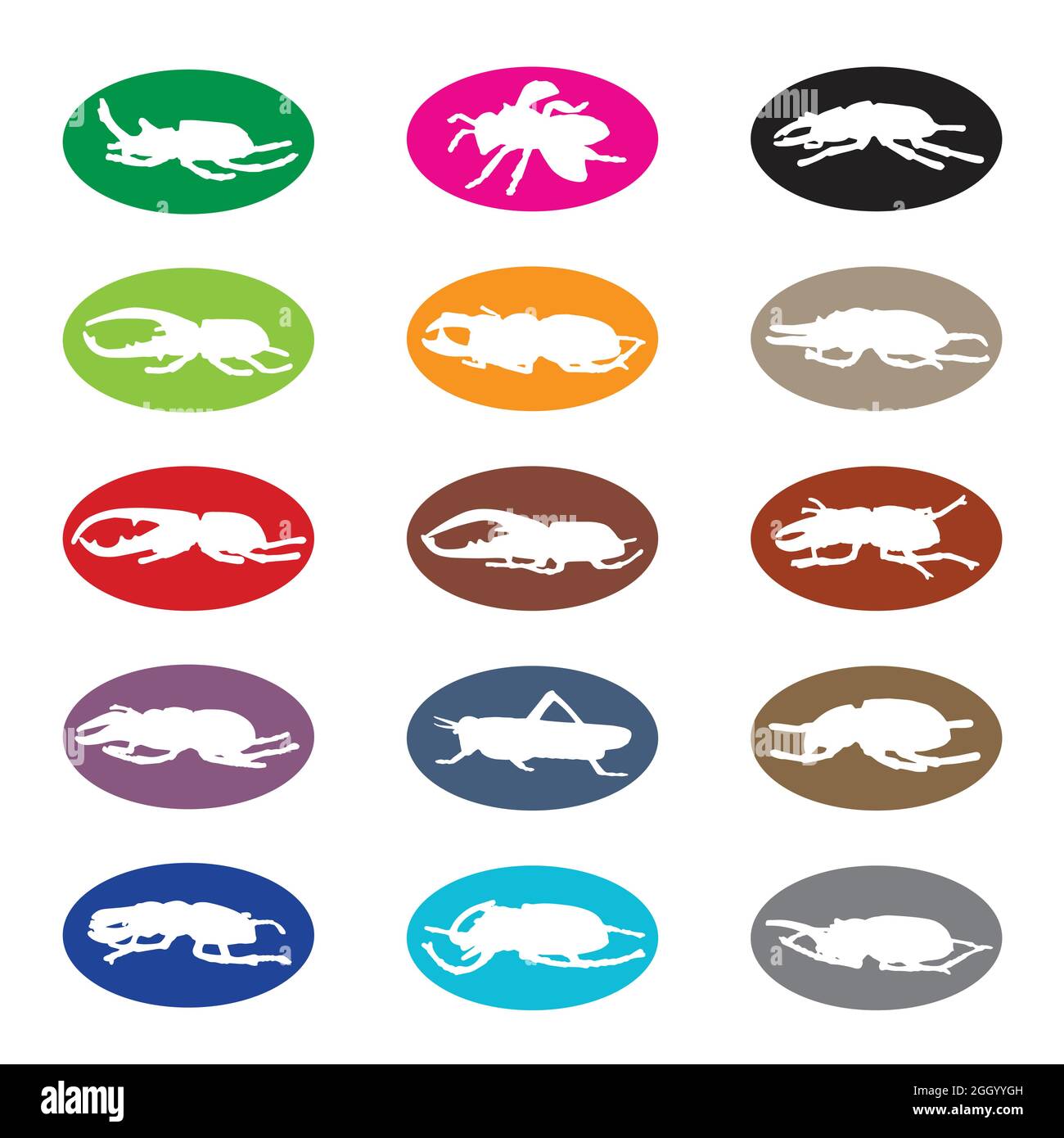 Vector group of insects on white background. Easy editable layered ...