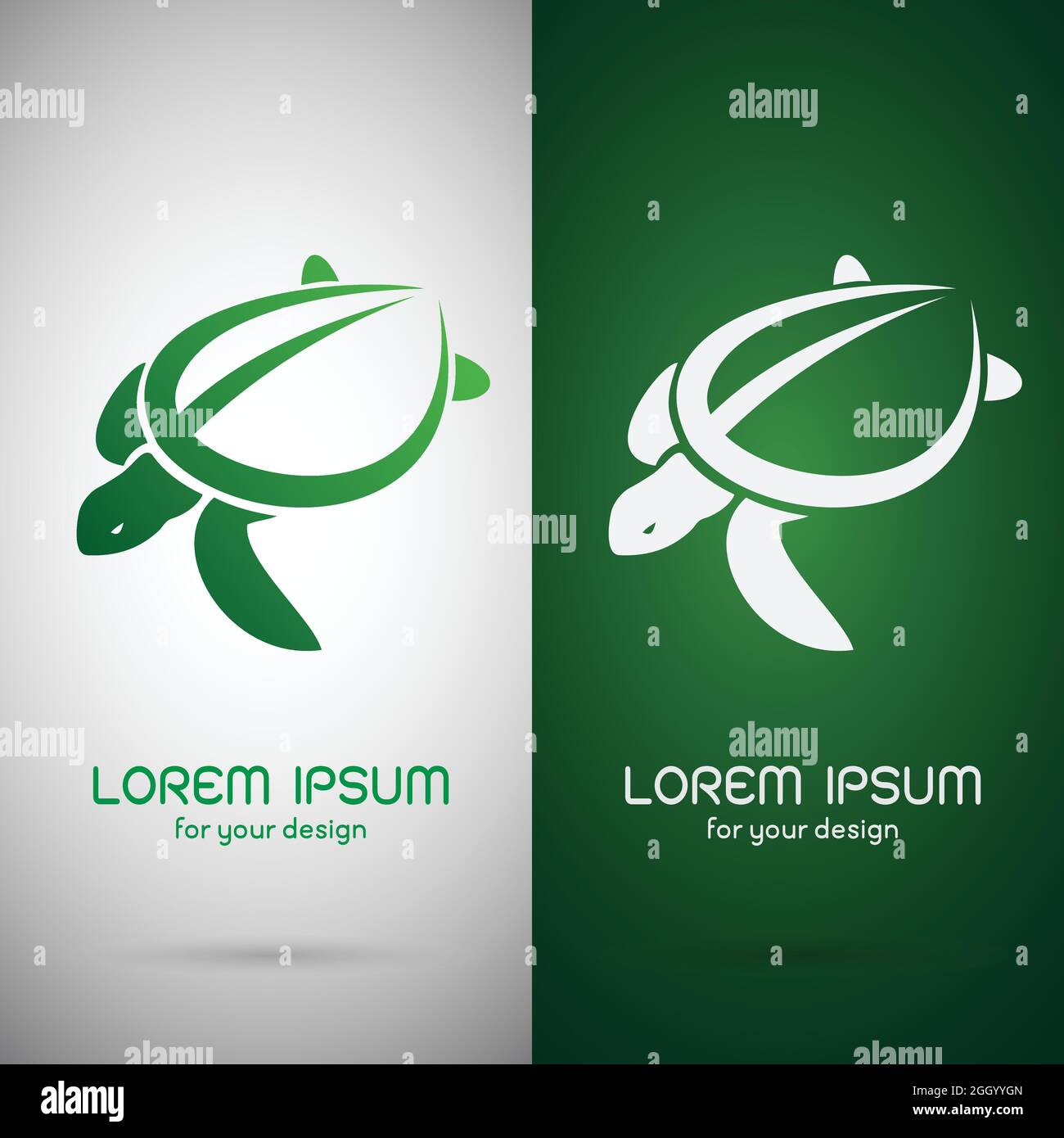 Vector image of turtle design on white background and green background ...