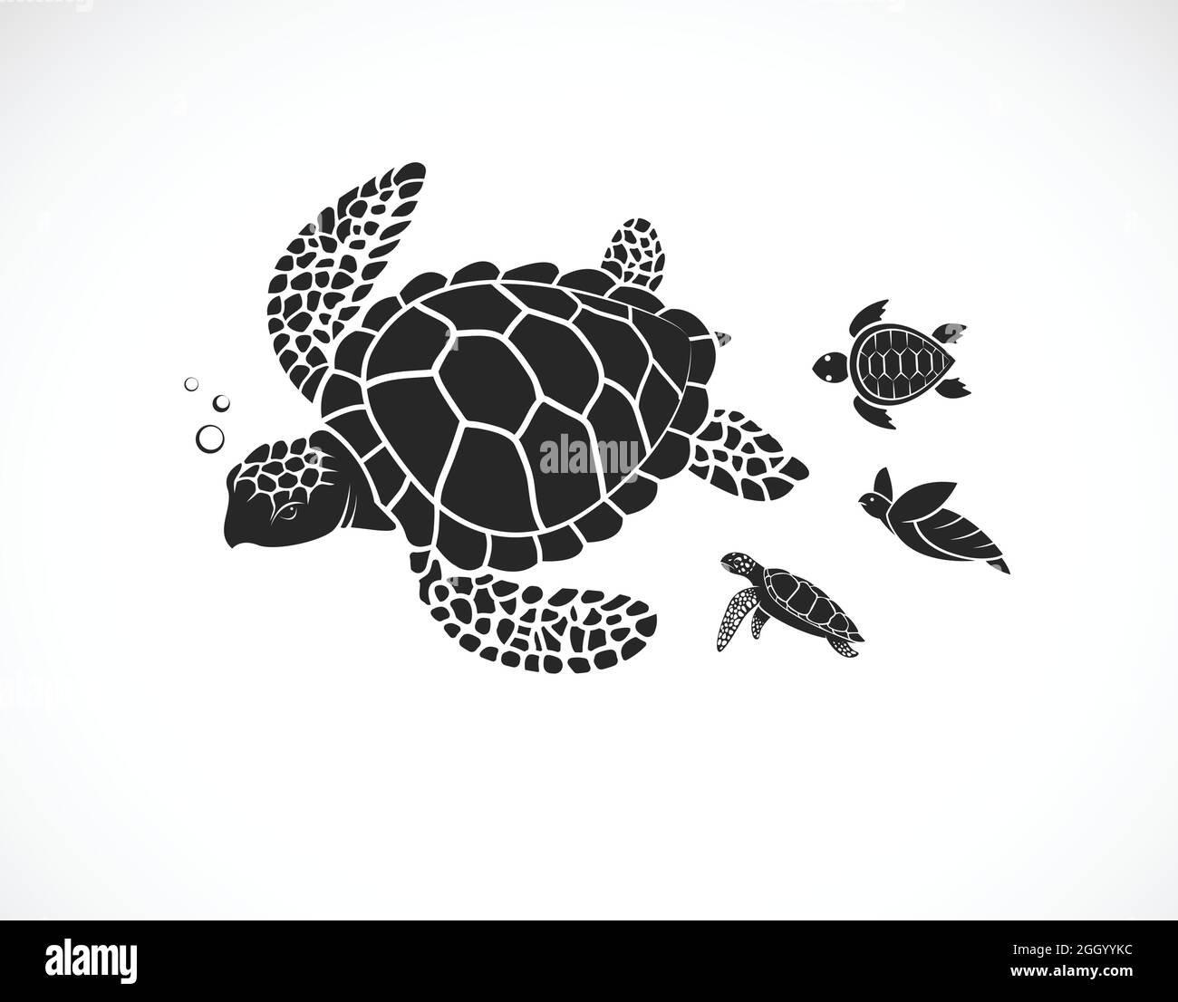Little Turtles Stock Vector Images - Alamy