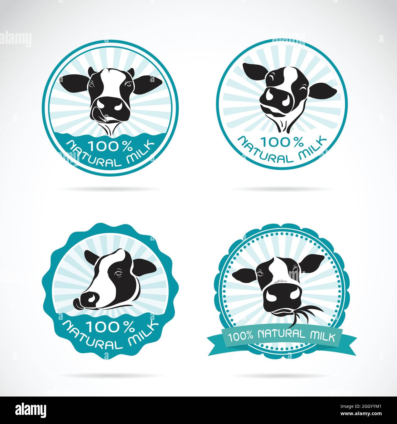 Set of vector a dairy cows label on white background, Animals farm ...