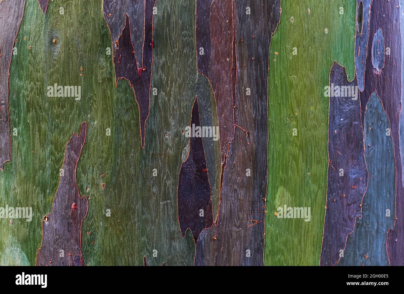 Natural weathered hi-res stock photography and images - Alamy