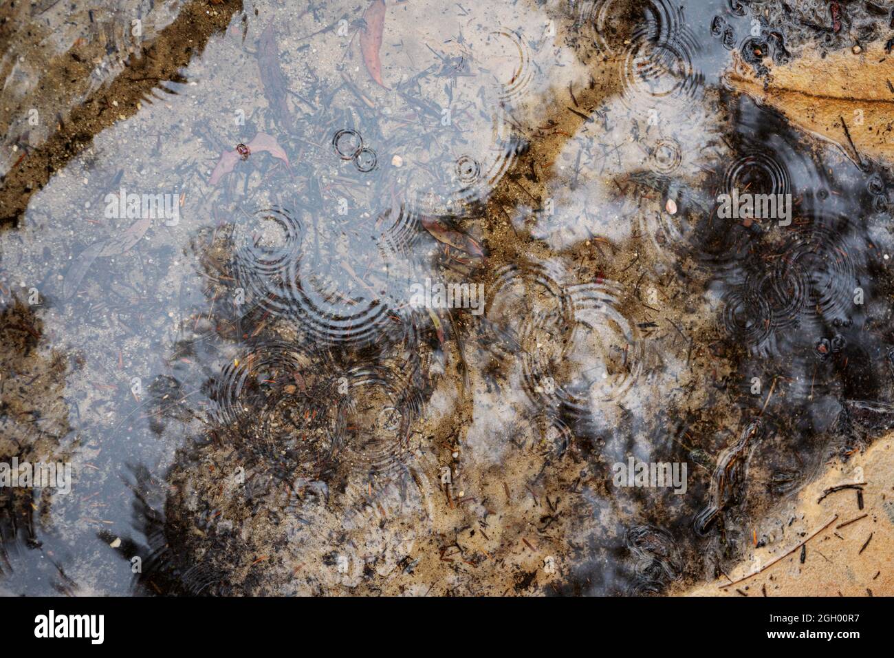Ripples in a rockpool taken during a storm in the Blue Mountains Stock ...