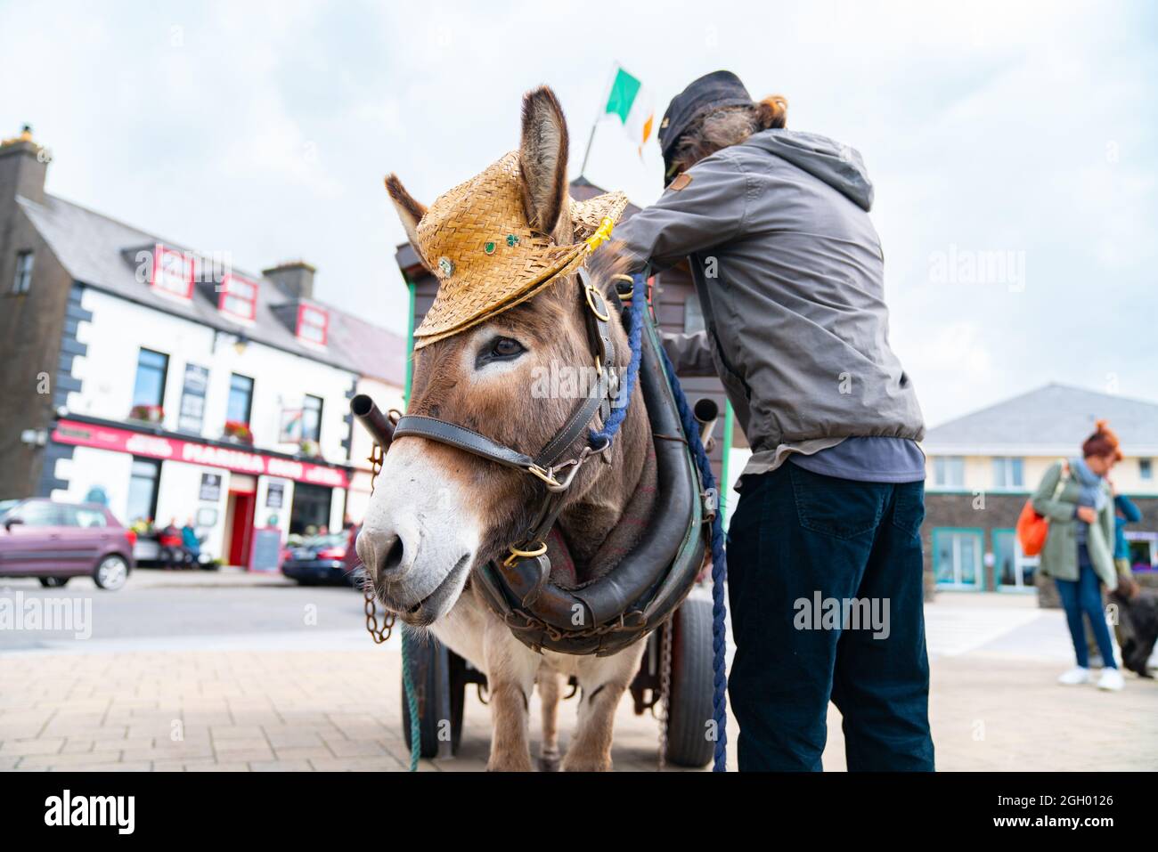 Dingle Ireland - August 12 2017; Street scene in town of donkey with ...