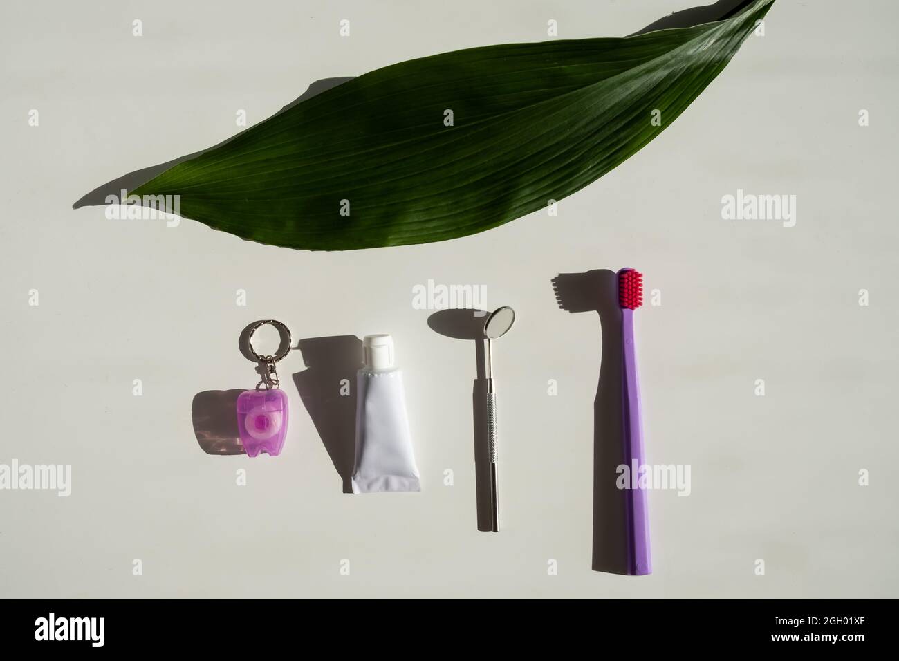 Oral hygiene products and a green leaf on a white table. Toothbrush ...