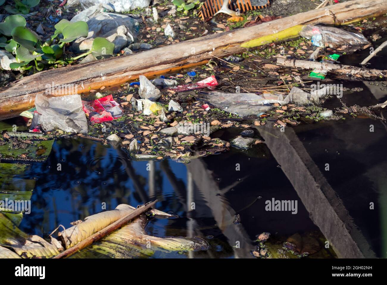 Polluted river with various garbage and trash Stock Photo - Alamy