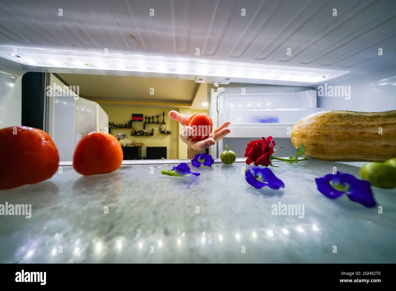 Food inside refrigerator in the kitchen Stock Photo - Alamy