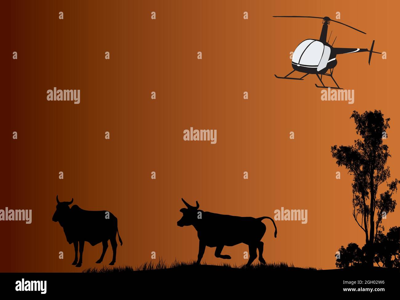mustering time by helicopter in outback Australia Stock Vector Image ...