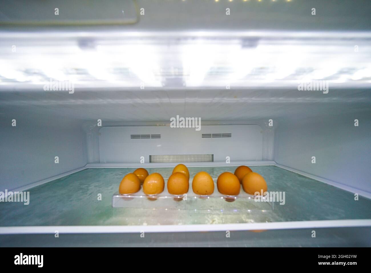 Food inside refrigerator in the kitchen Stock Photo - Alamy