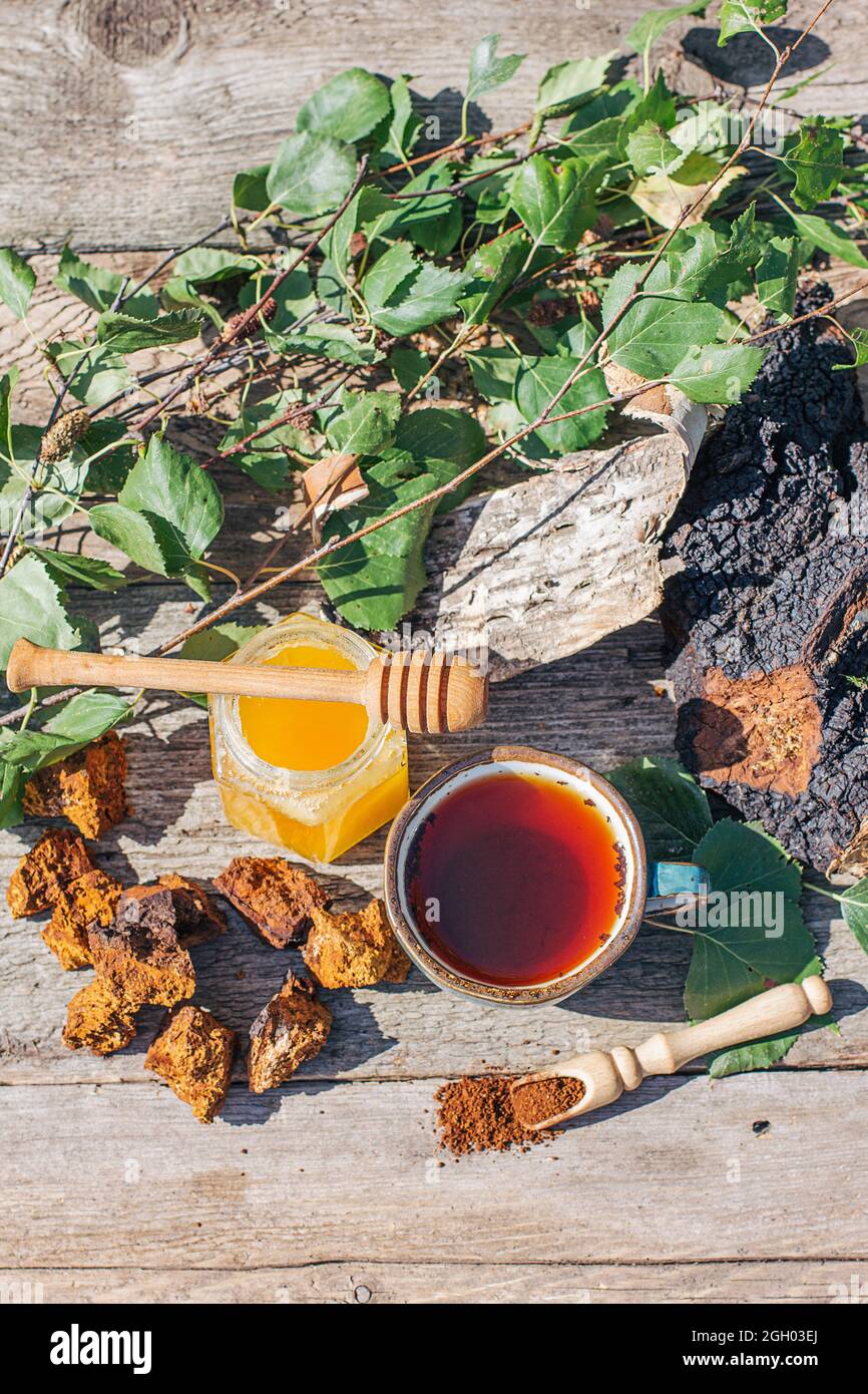 Chaga tea - a strong antioxidant, boosts immune system. Healthy pure ...