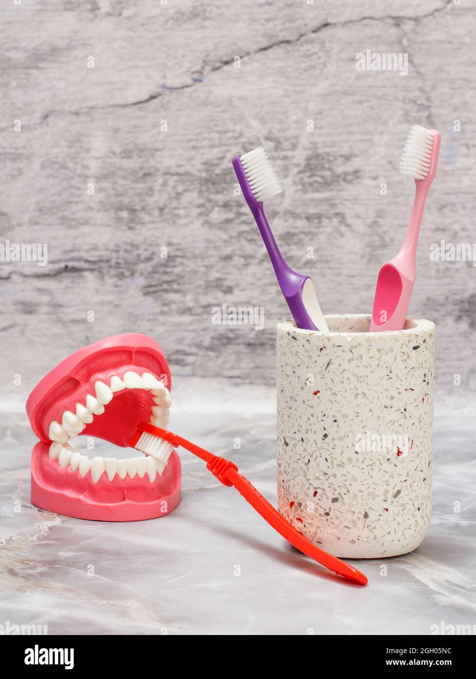 Stone can with toothbrushes. Layout of the human jaw and a toothbrush ...
