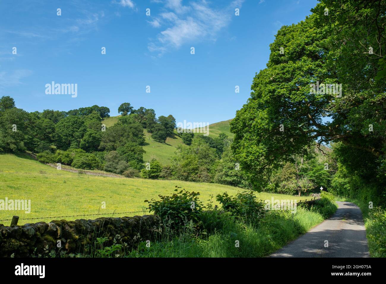 Scottish lane hi-res stock photography and images - Alamy